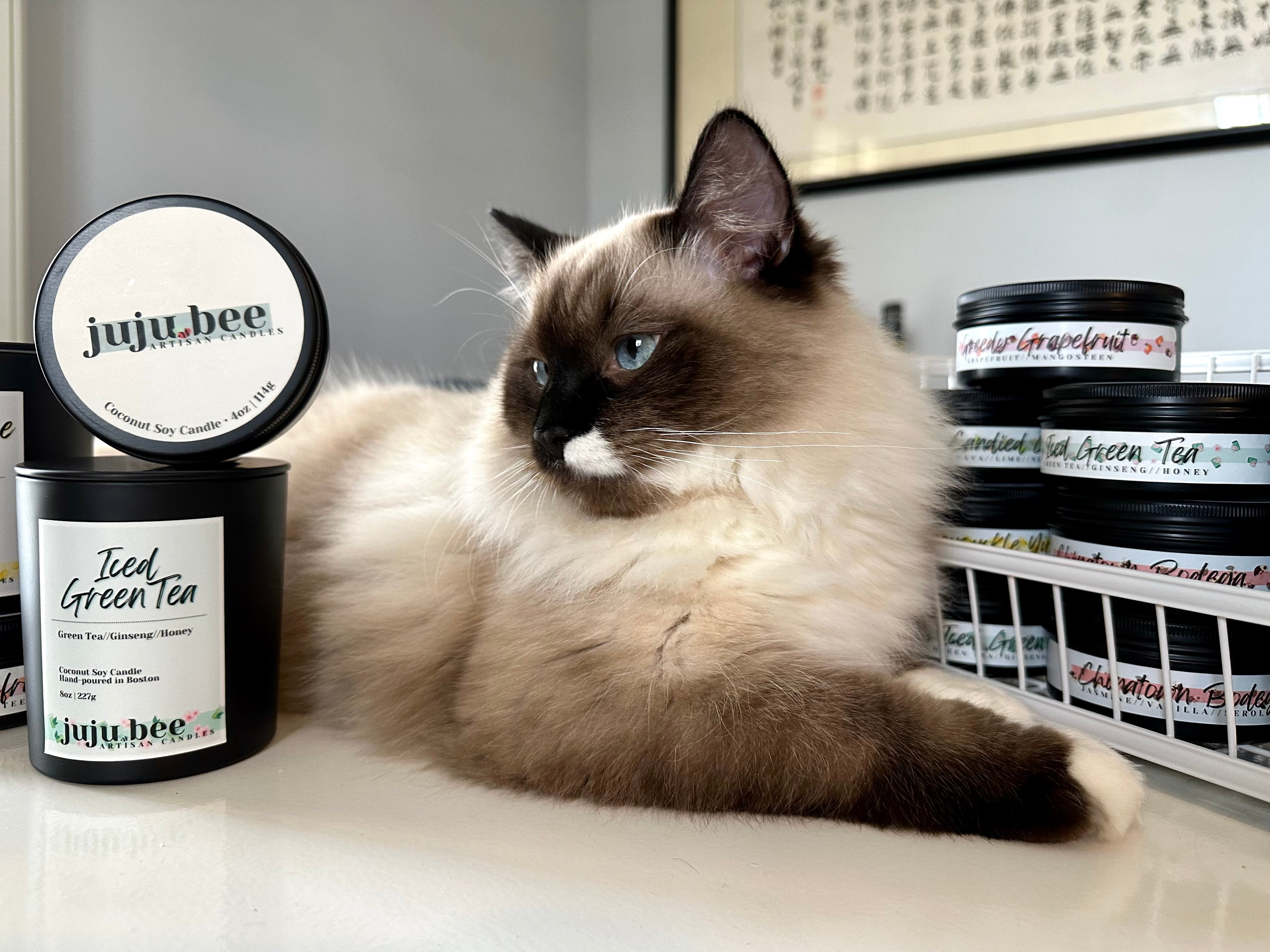 JUJU.BEE | Asian Inspired Scented Candles – jujudotbee