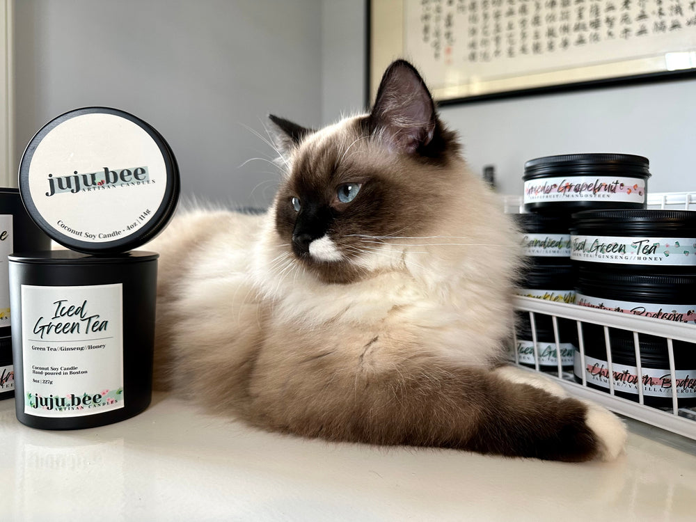 JUJU.BEE | Asian Inspired Scented Candles – jujudotbee